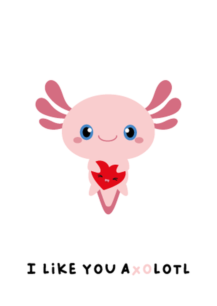 Axolotl i like you a lotl – Studio Inktvis